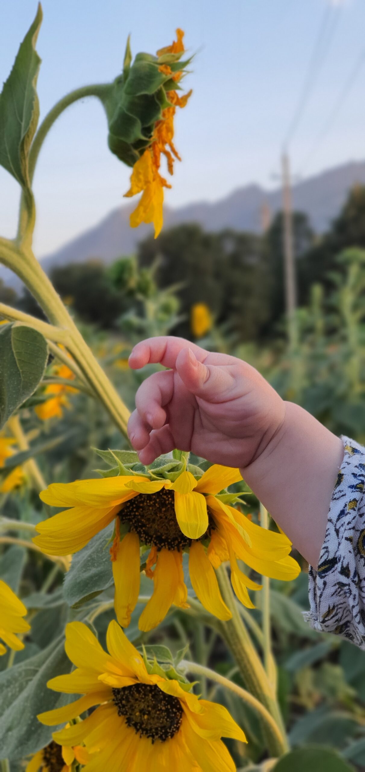 Learn More About Mary Hewitt - Unlocking Childhood